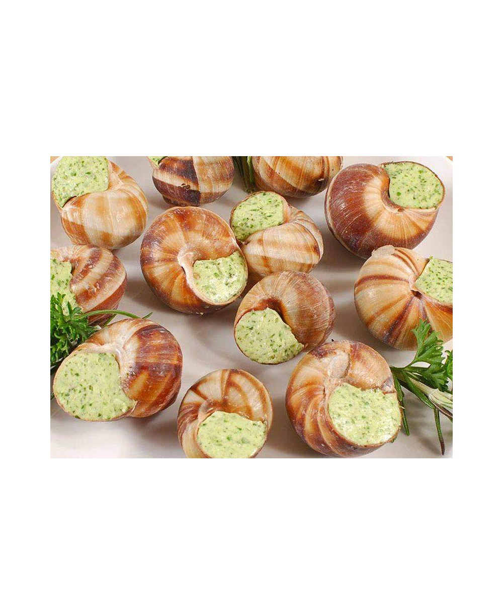 Lumache alla Bourguignonne 48 pezzi